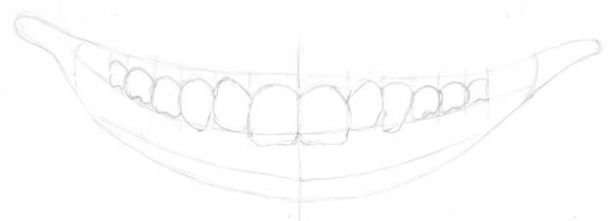 How to Draw Teeth | How to Draw New Zealand